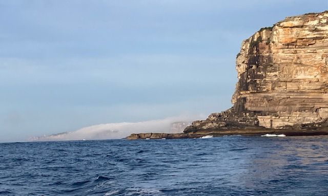 Out from Tunks Monday - Saltwater Fishing Reports - DECKEE Community