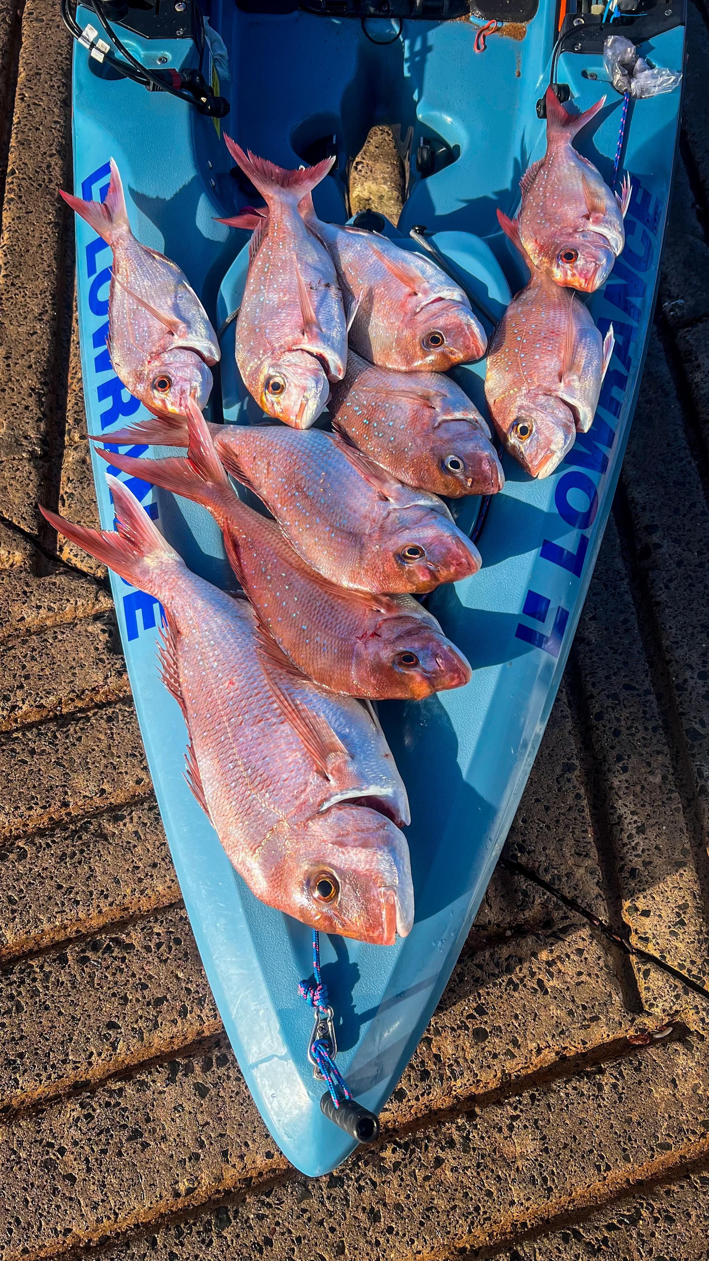 Simply Red - Saltwater Fishing Reports - DECKEE Community