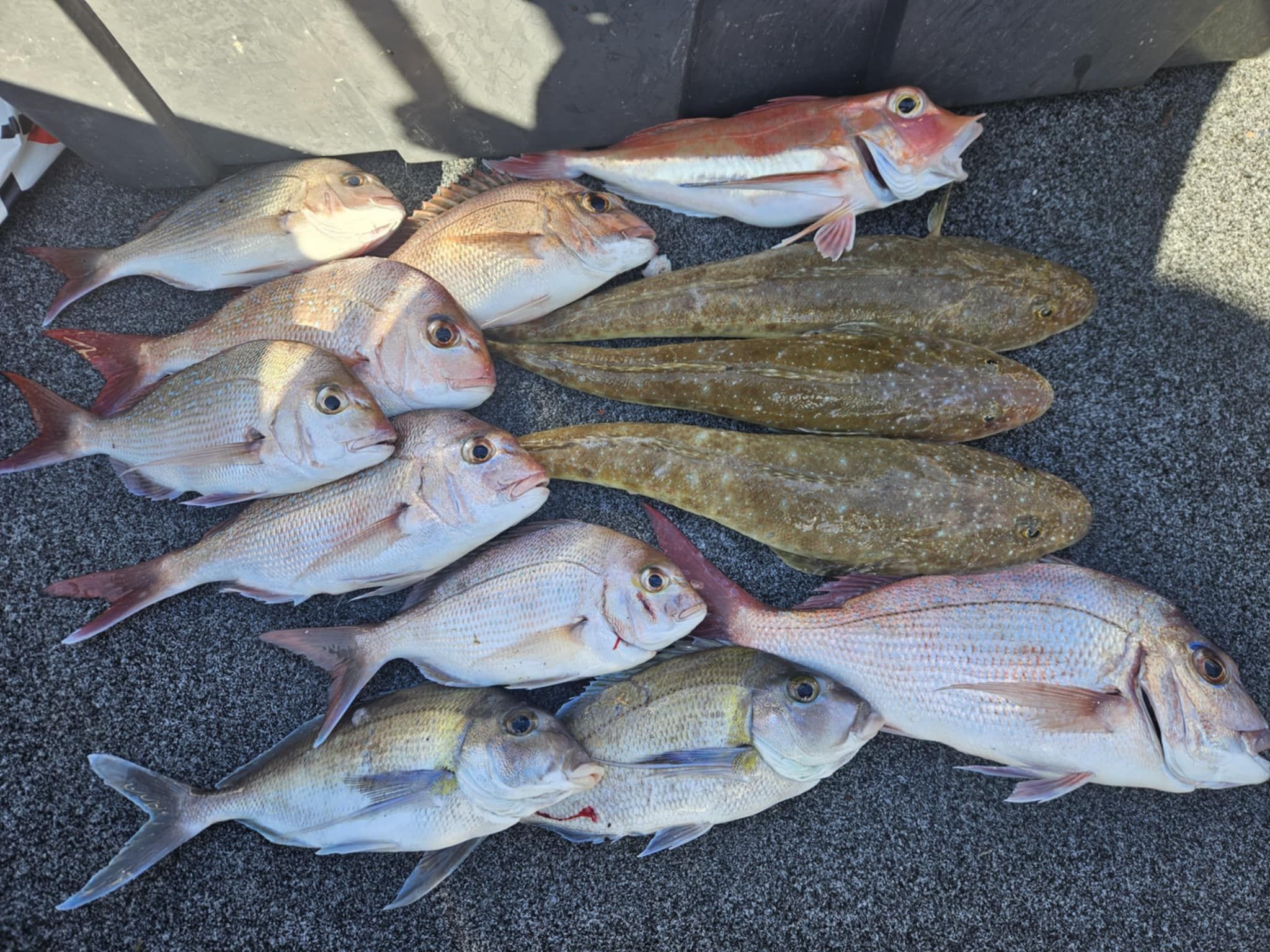 Yellowfin - Saltwater Fishing Reports - DECKEE Community