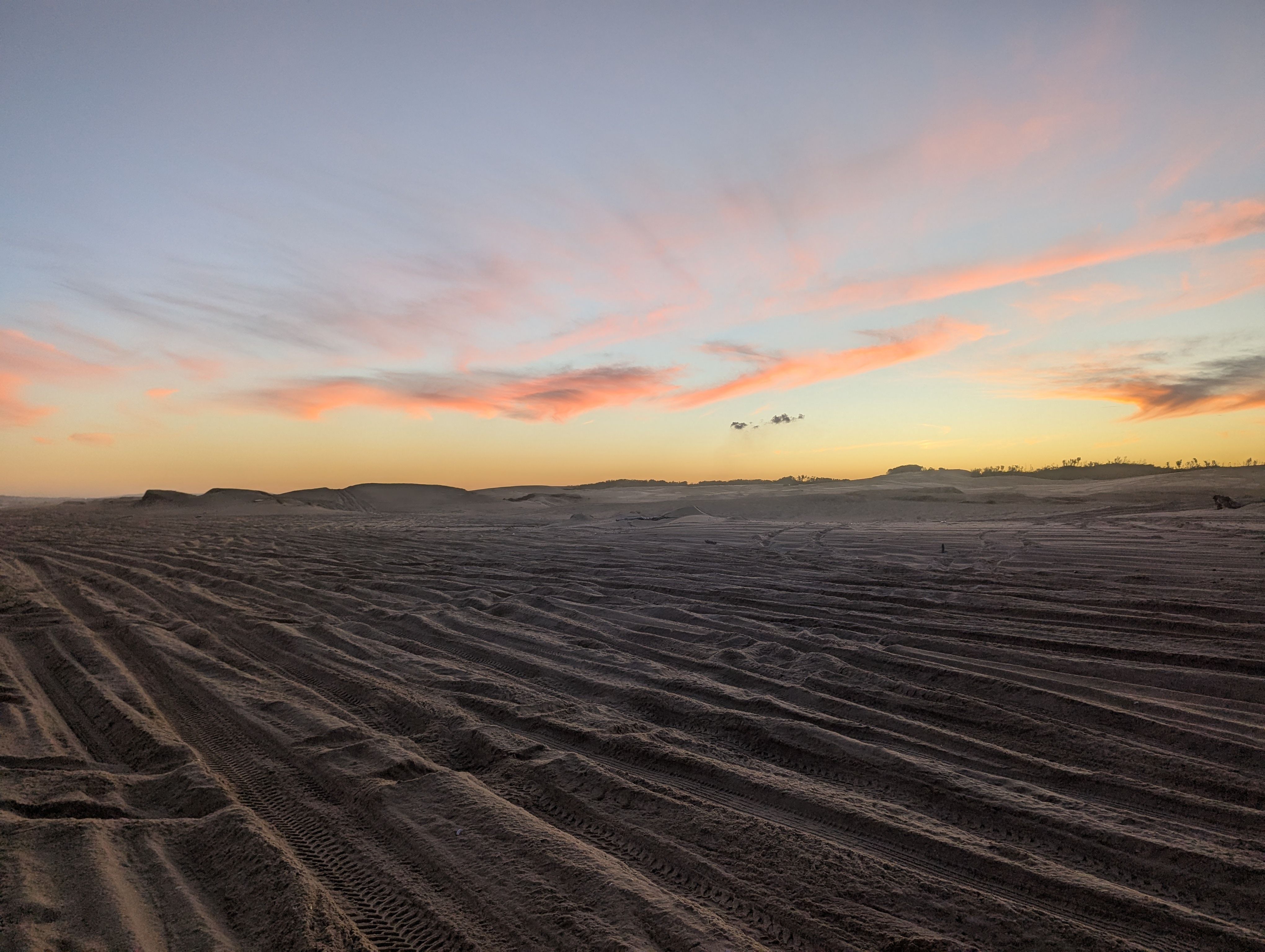 Stockton beach unexpected catches - Saltwater Fishing Reports - DECKEE ...