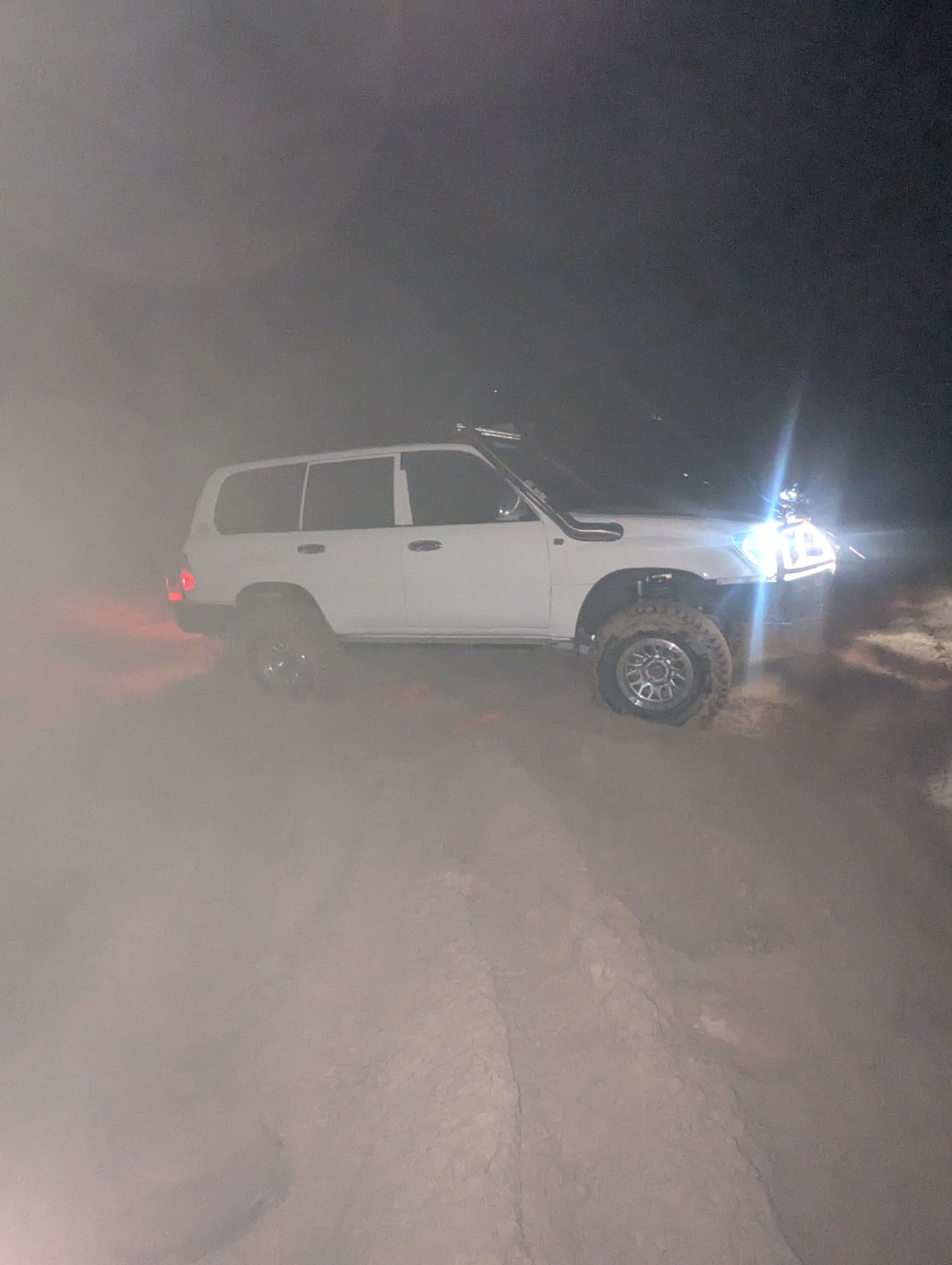 Stockton beach unexpected catches - Saltwater Fishing Reports - DECKEE ...