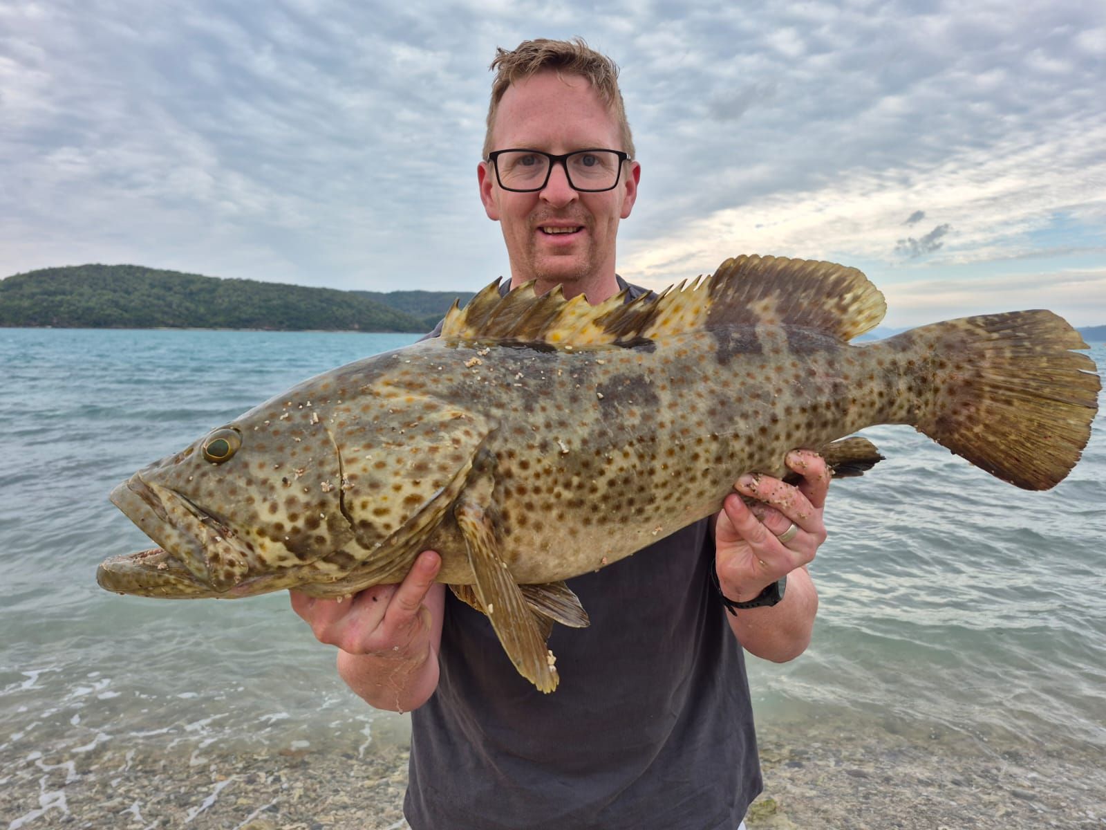 What type of Cod is this?(Goldspotted/Estuary Rockcod.) - The Aquarium ...