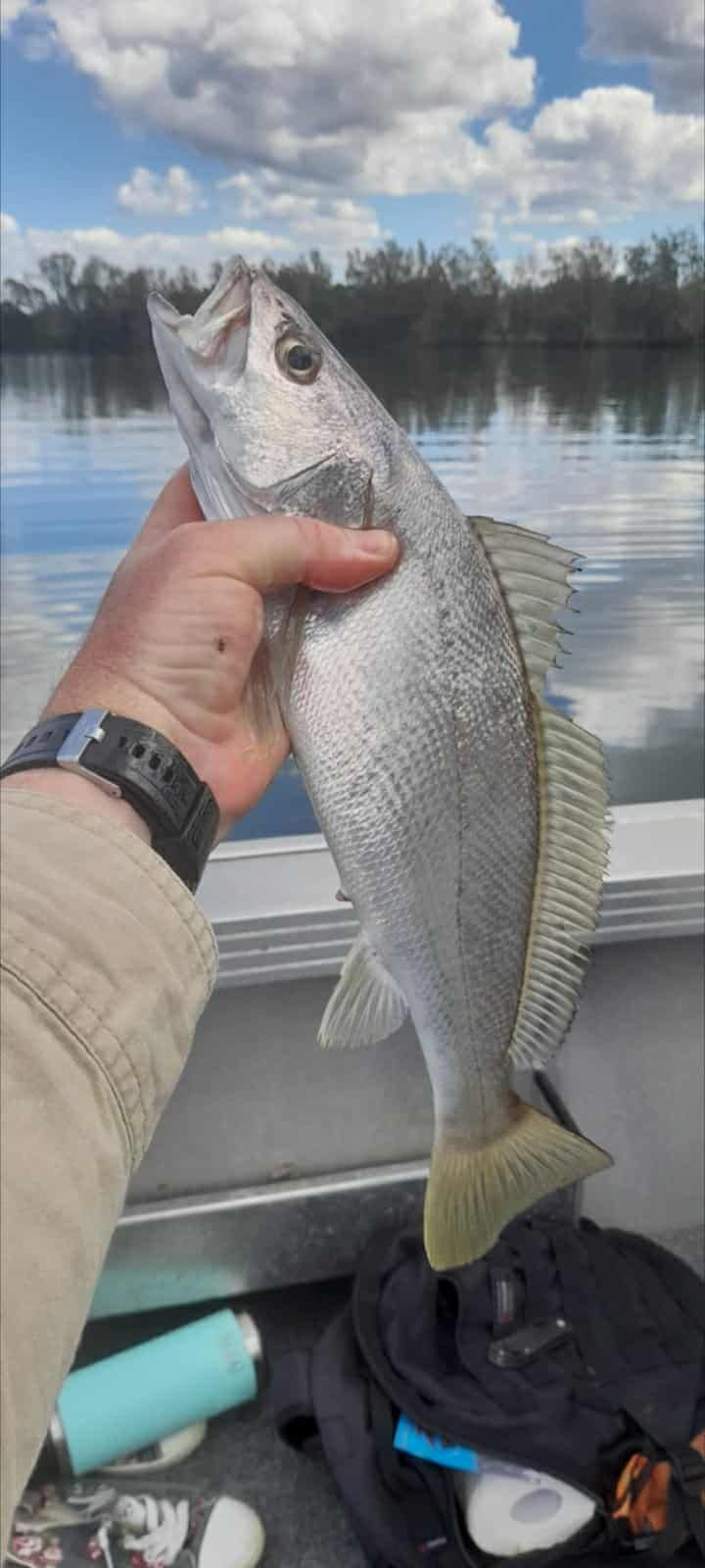 Catching my nemesis - Saltwater Fishing Reports - DECKEE Community