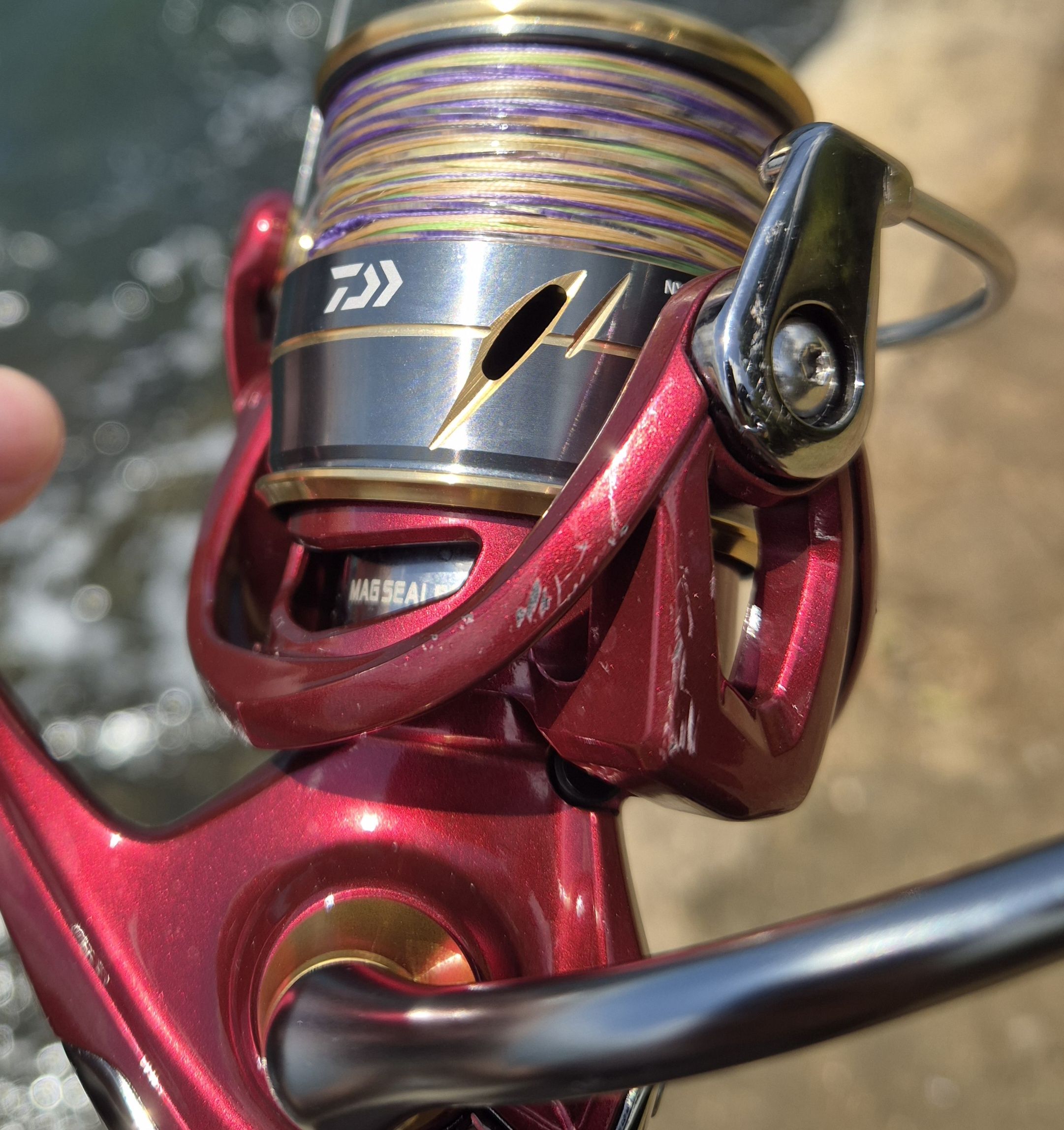 Where is that king? - Saltwater Fishing Reports - DECKEE Community