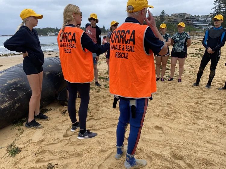 ORRCA volunteer group - Fisheries News and Regulations - DECKEE Community