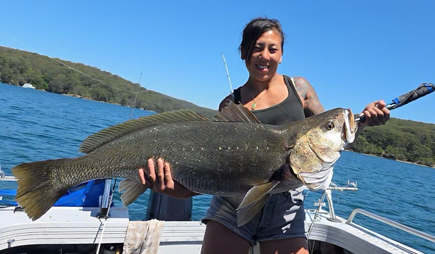 Pb daytime jewfish on 8lb - Saltwater Fishing Reports - DECKEE Community