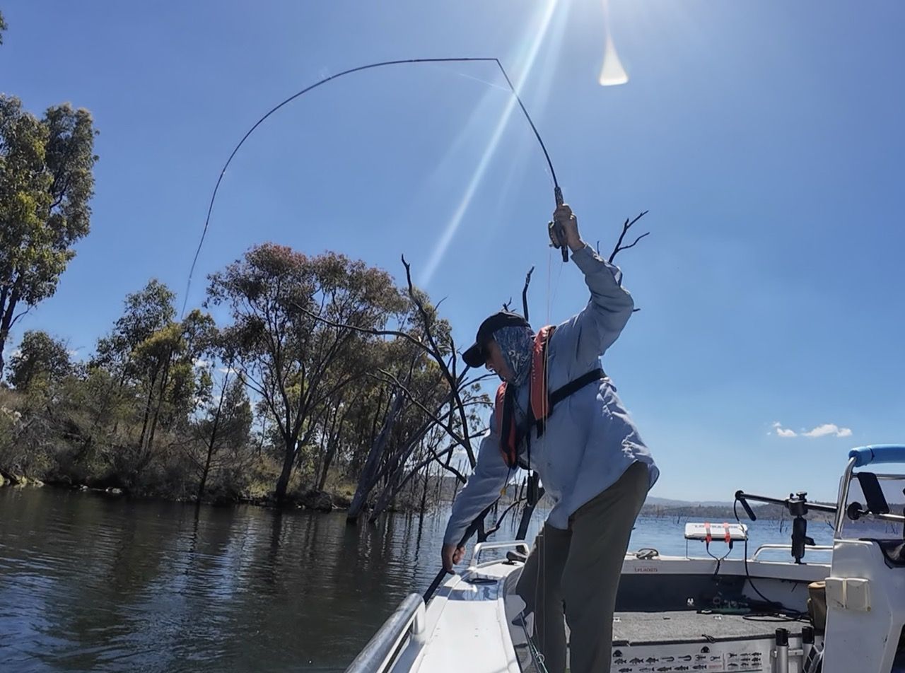 Flying Carp!! - Freshwater Fishing Reports - DECKEE Community