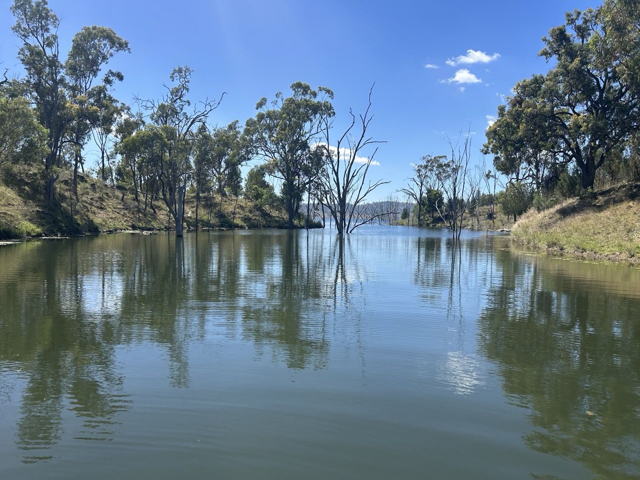 Flying Carp!! - Freshwater Fishing Reports - DECKEE Community