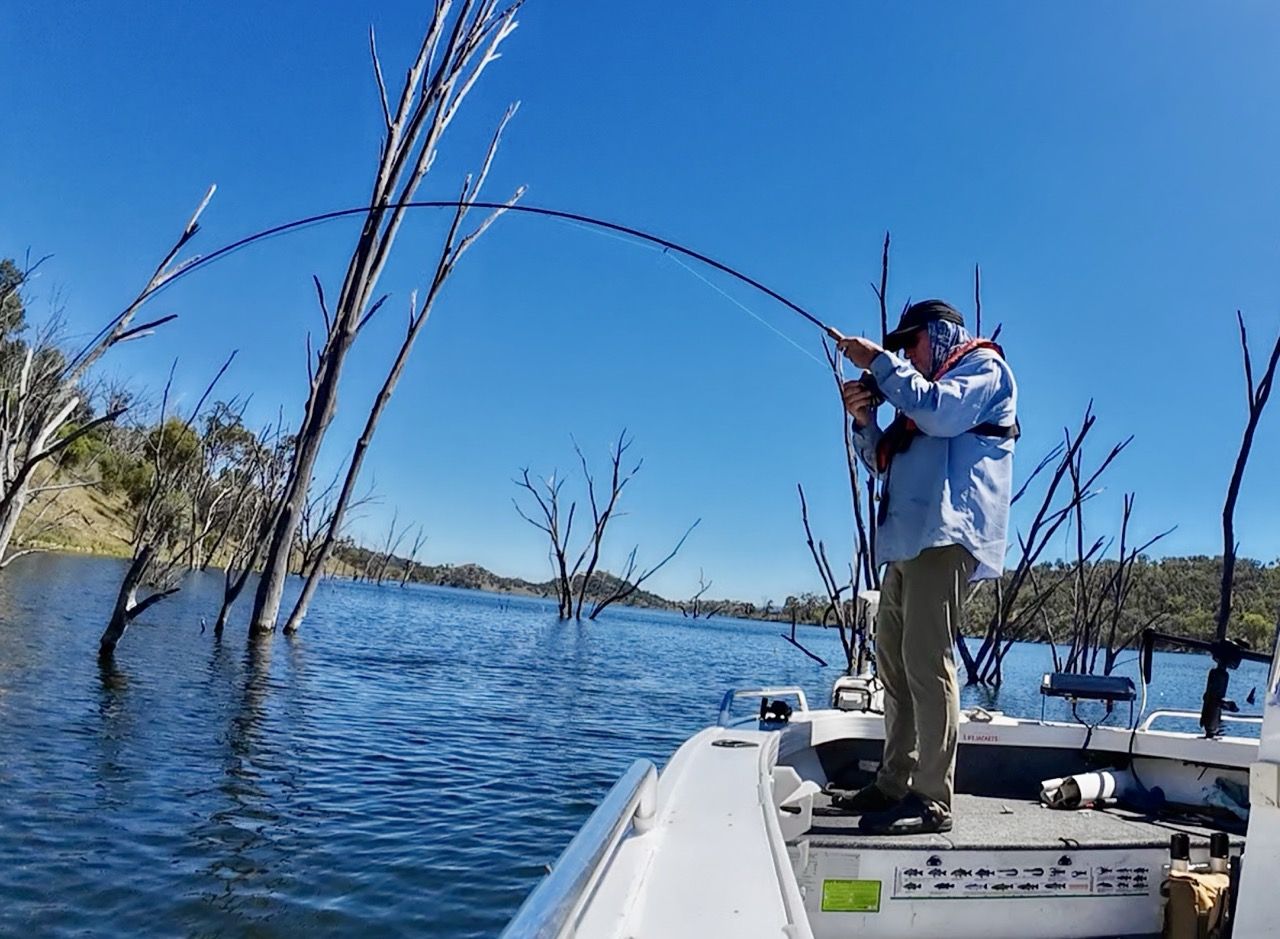 Flying Carp!! - Freshwater Fishing Reports - DECKEE Community