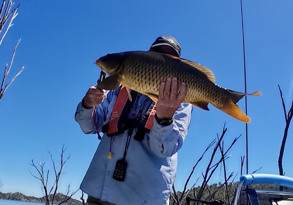 Flying Carp!! - Freshwater Fishing Reports - DECKEE Community