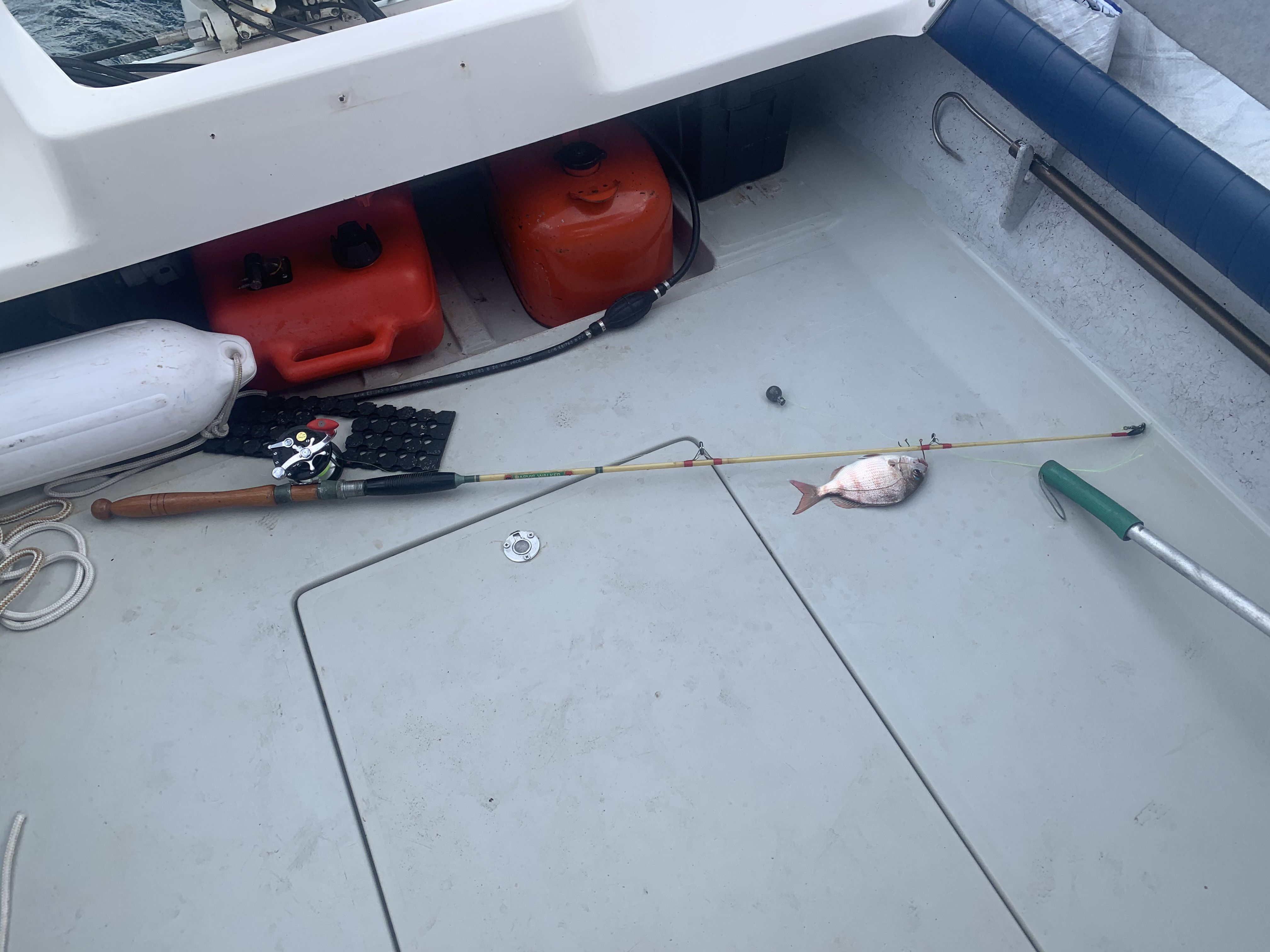 Windy day on lake Mac - Saltwater Fishing Reports - DECKEE Community