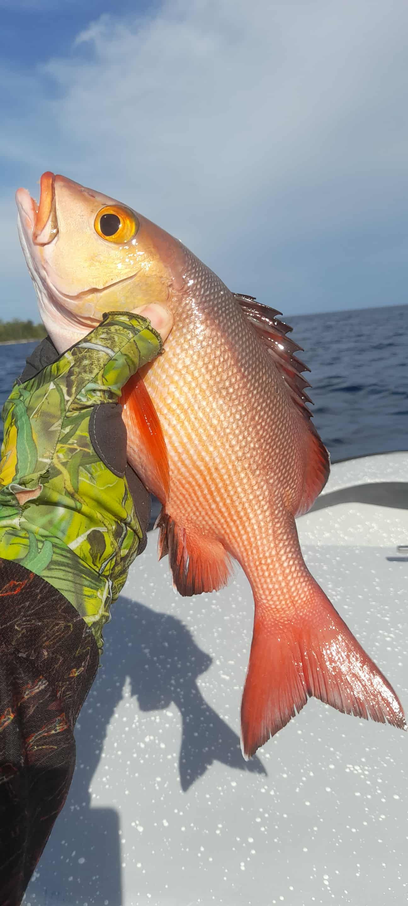Another Solomon Islands trip - Saltwater Fishing Reports - DECKEE Community