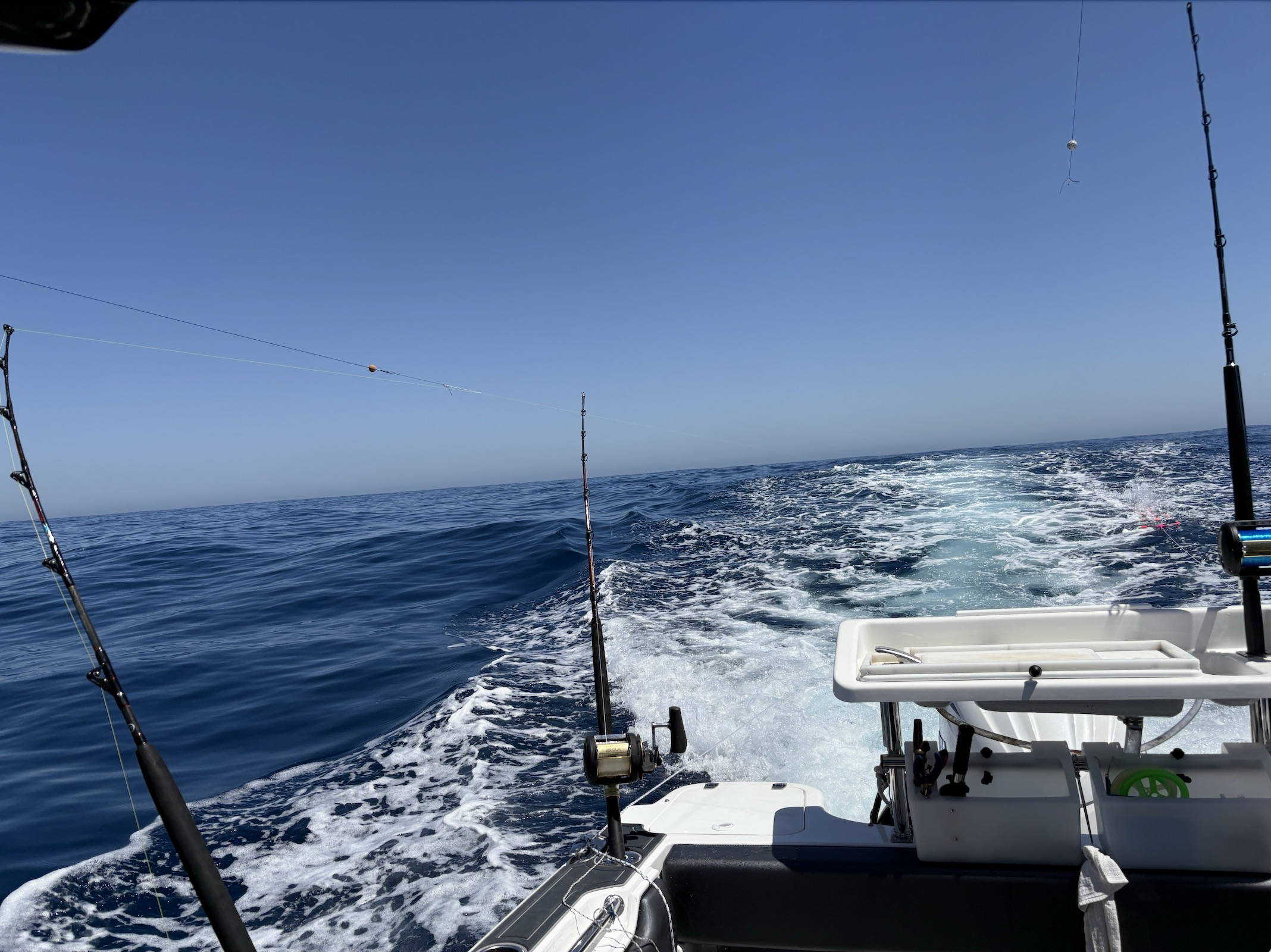Survived the weather forecast but No Marlin ... deep drop rules again ...
