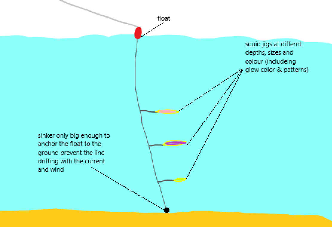 How to always catch squid from land - Articles - DECKEE Community