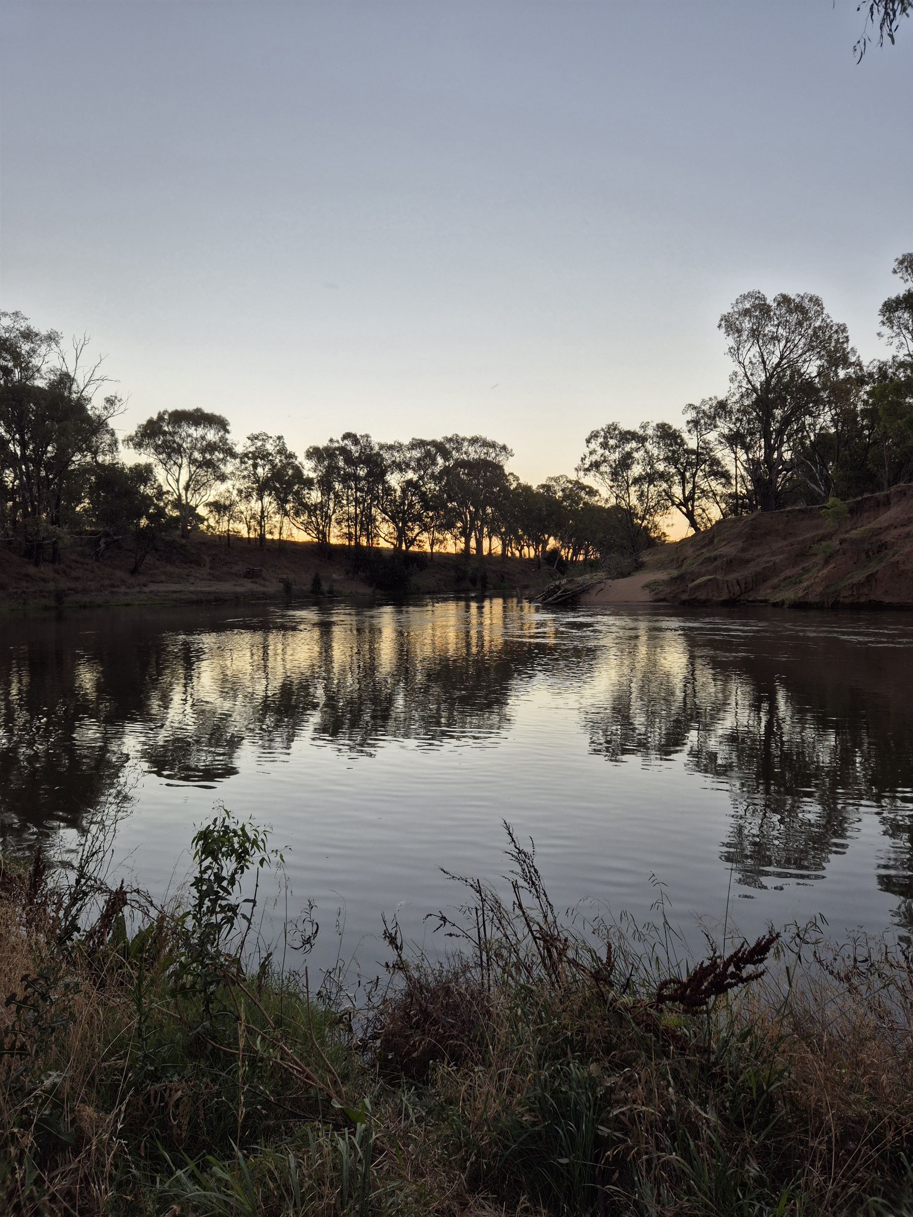 First Murray Cod at Dubbo - Freshwater Fishing Reports - DECKEE Community