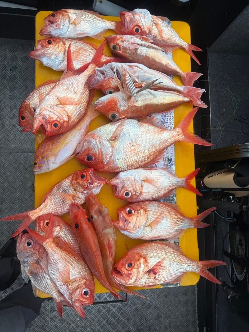 Nanny’s of Sydney - Saltwater Fishing Reports - DECKEE Community