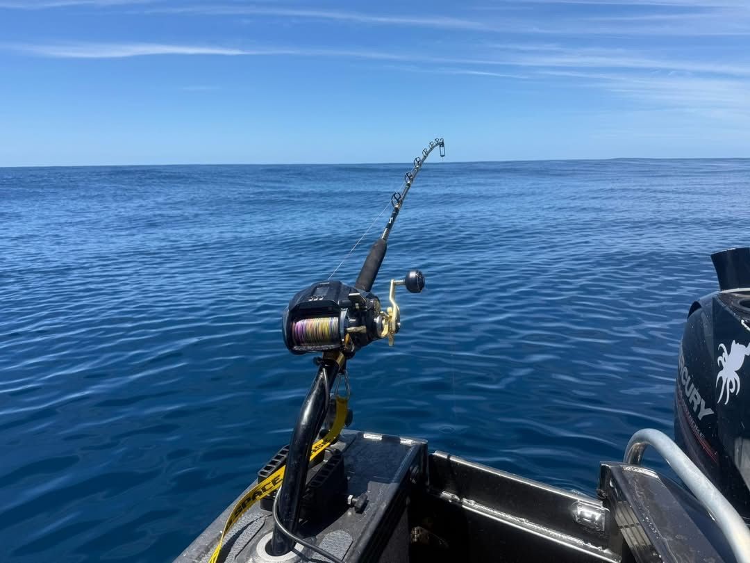 Nanny’s of Sydney - Saltwater Fishing Reports - DECKEE Community