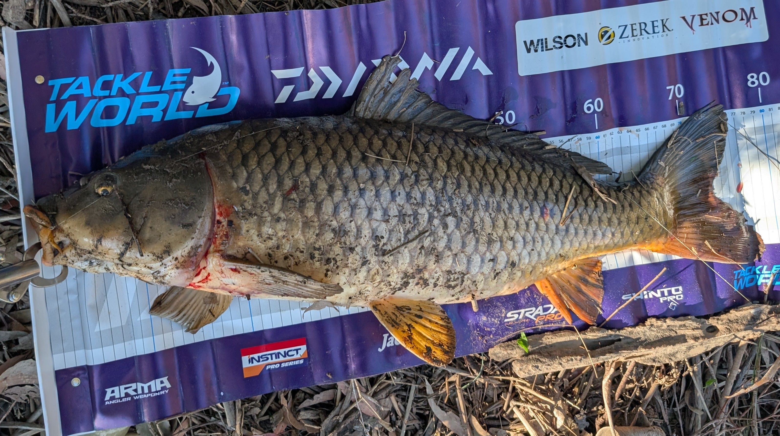 Spring fishing and first cod for the season - Freshwater Fishing ...