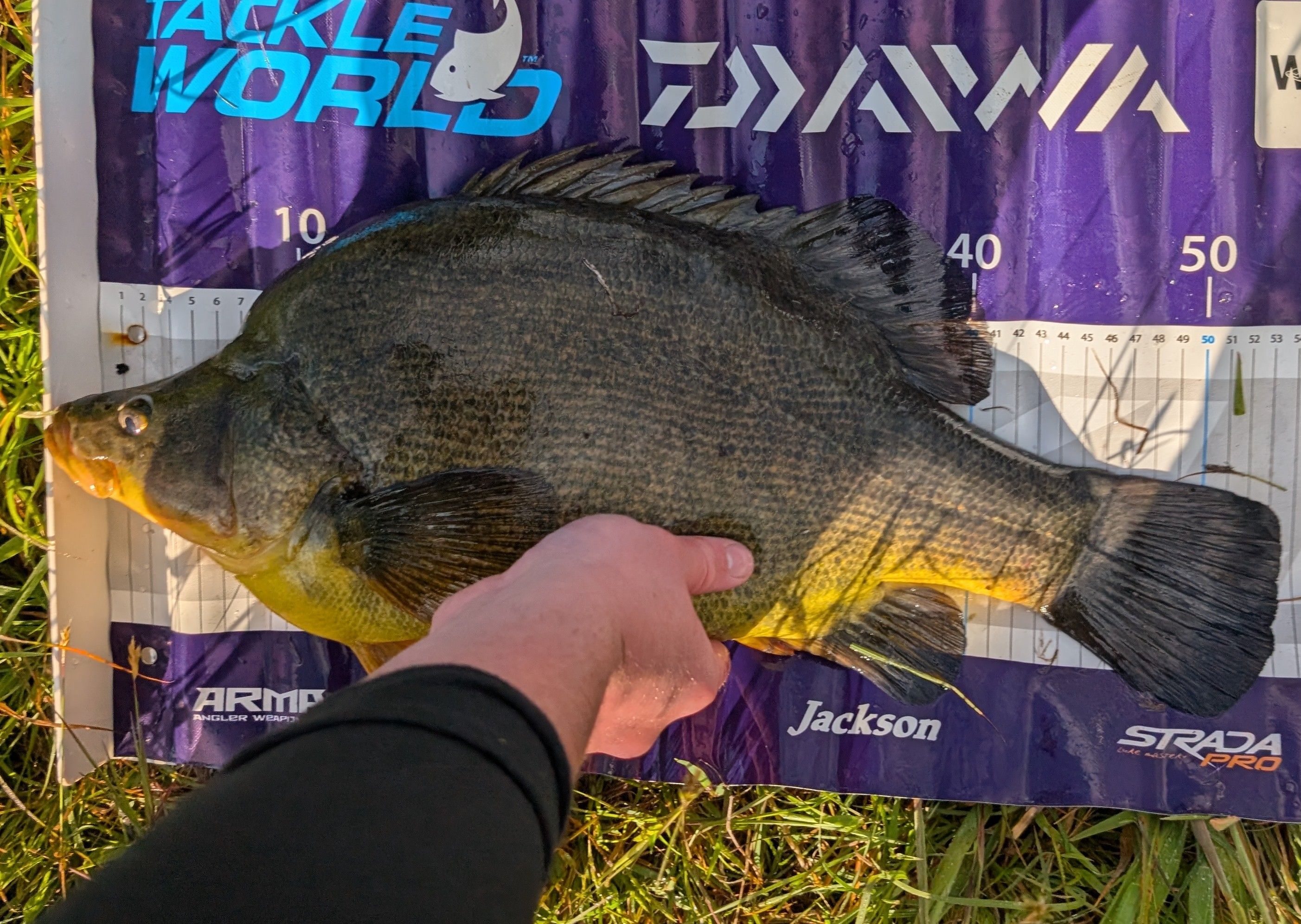 Spring fishing and first cod for the season - Freshwater Fishing ...