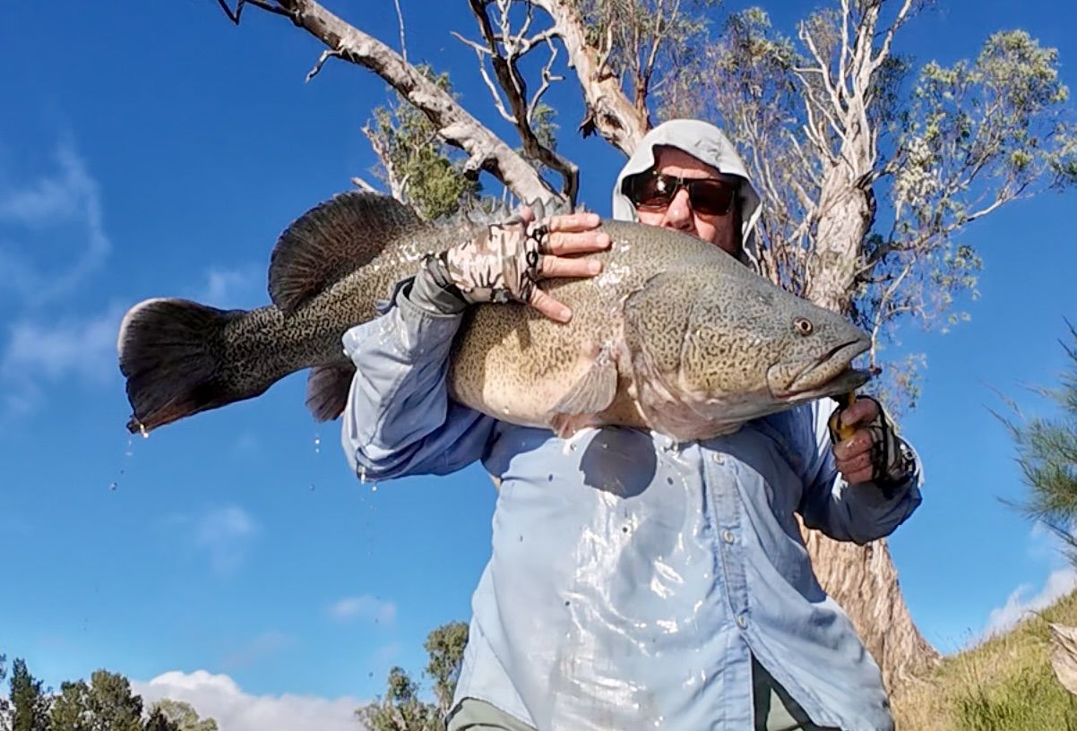 Bumped My Cod PB for a river cod. - Freshwater Fishing Reports - DECKEE ...
