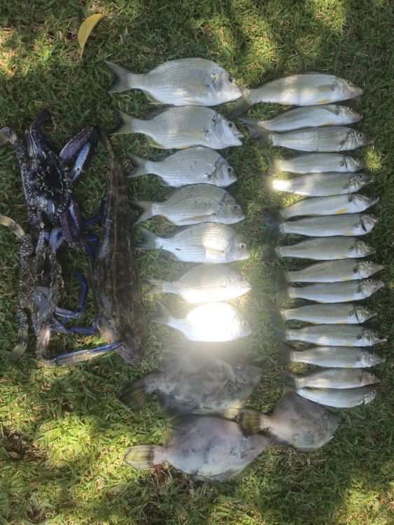 Port Hacking 25/1 - Saltwater Fishing Reports - DECKEE Community
