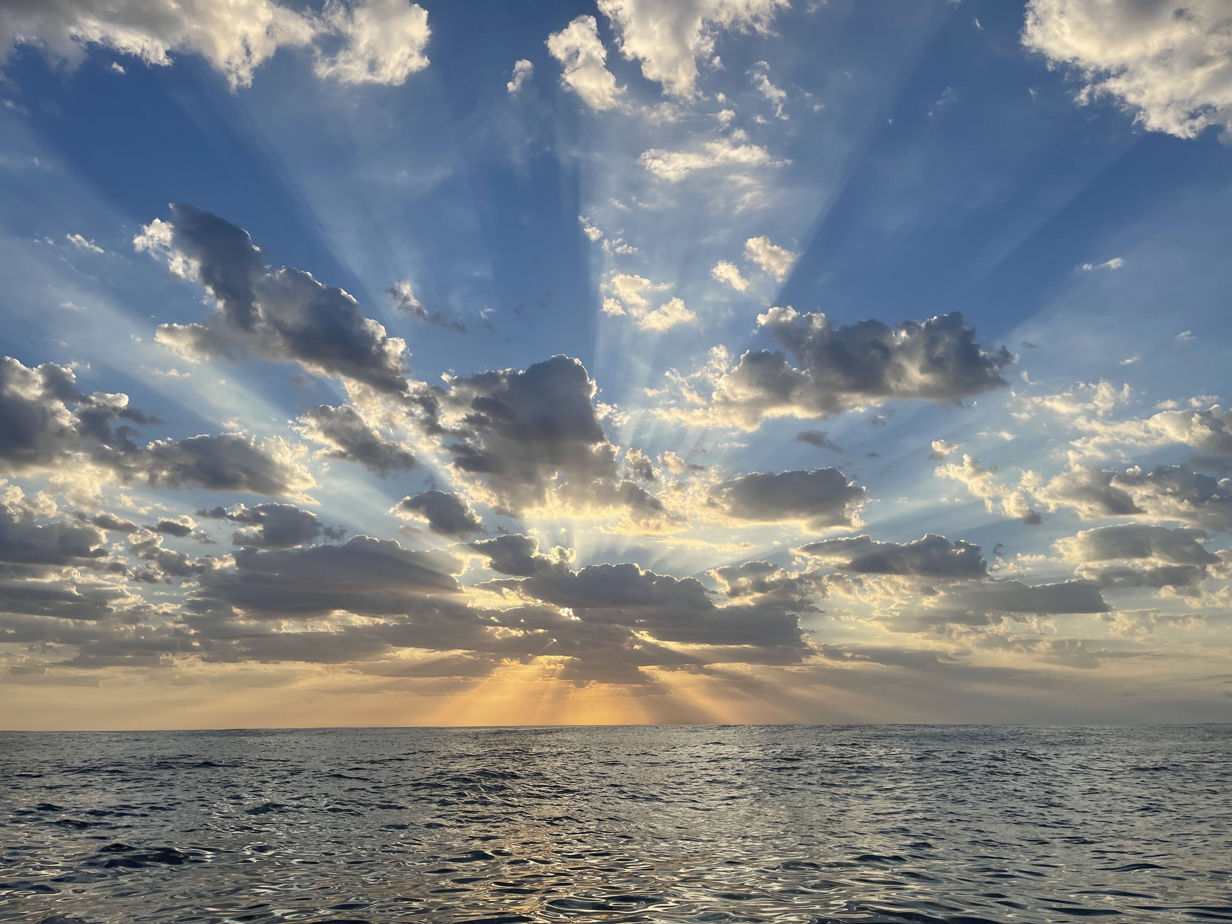 Fishing off Cronulla - Saltwater Fishing Reports - DECKEE Community