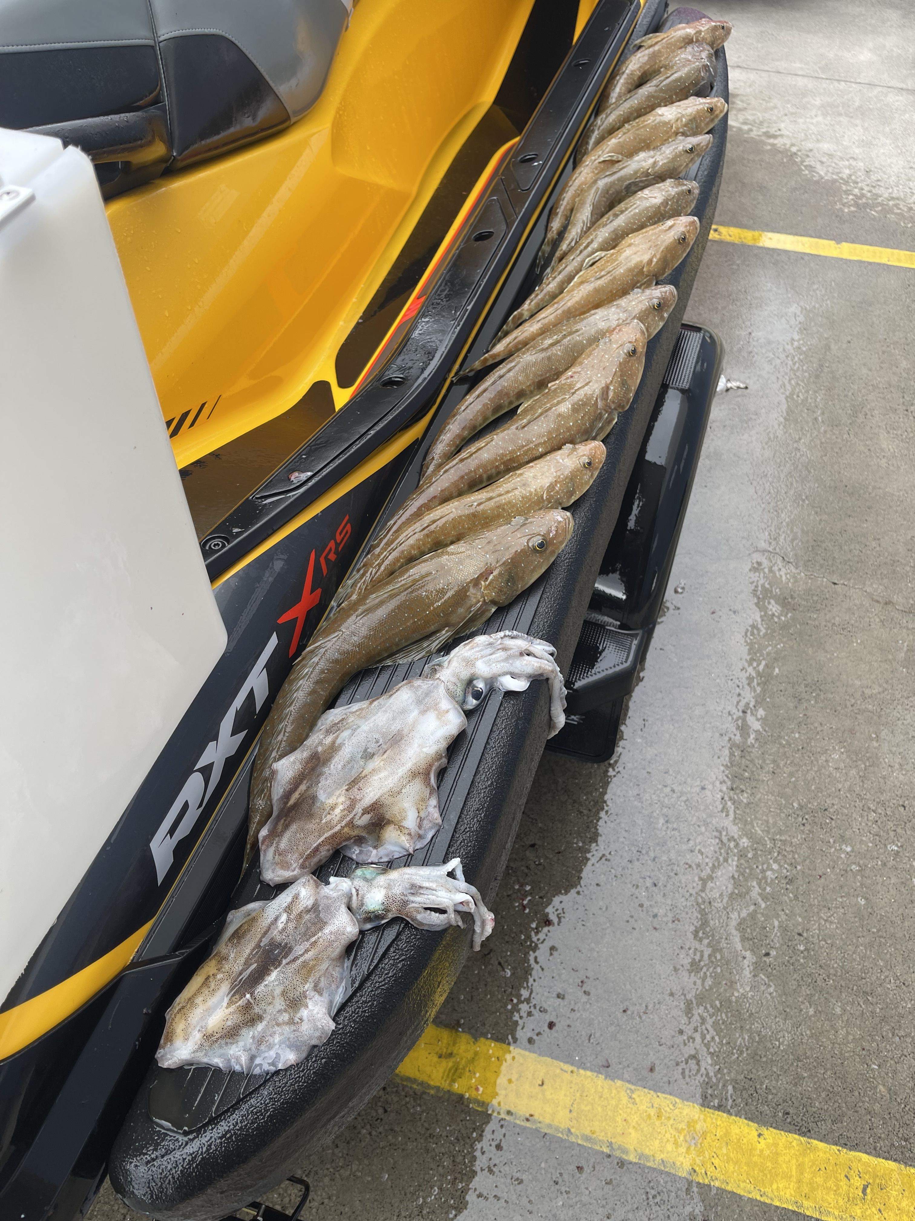 Fishing off Cronulla - Saltwater Fishing Reports - DECKEE Community