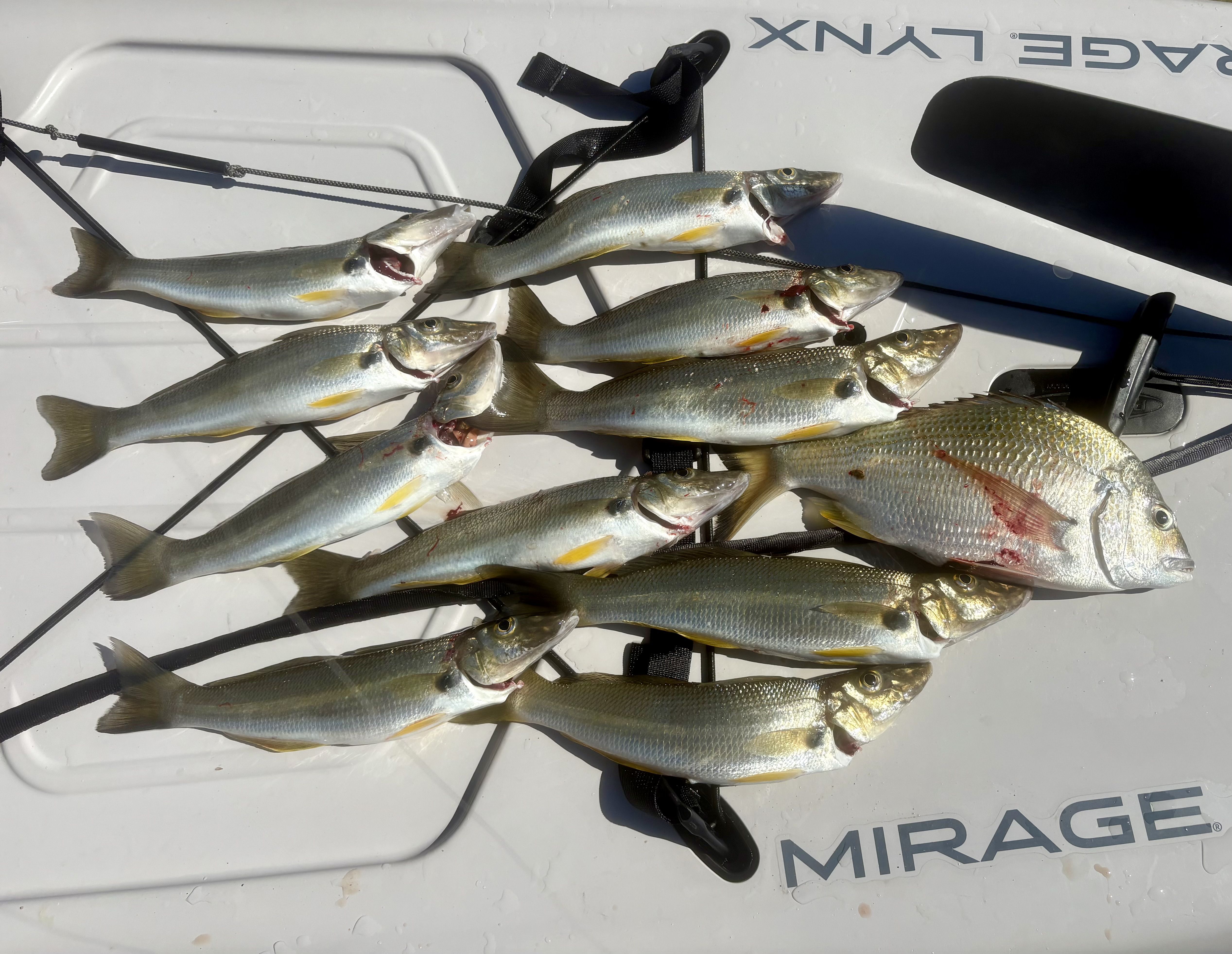Hacking Boat Show goes off! - Saltwater Fishing Reports - DECKEE Community
