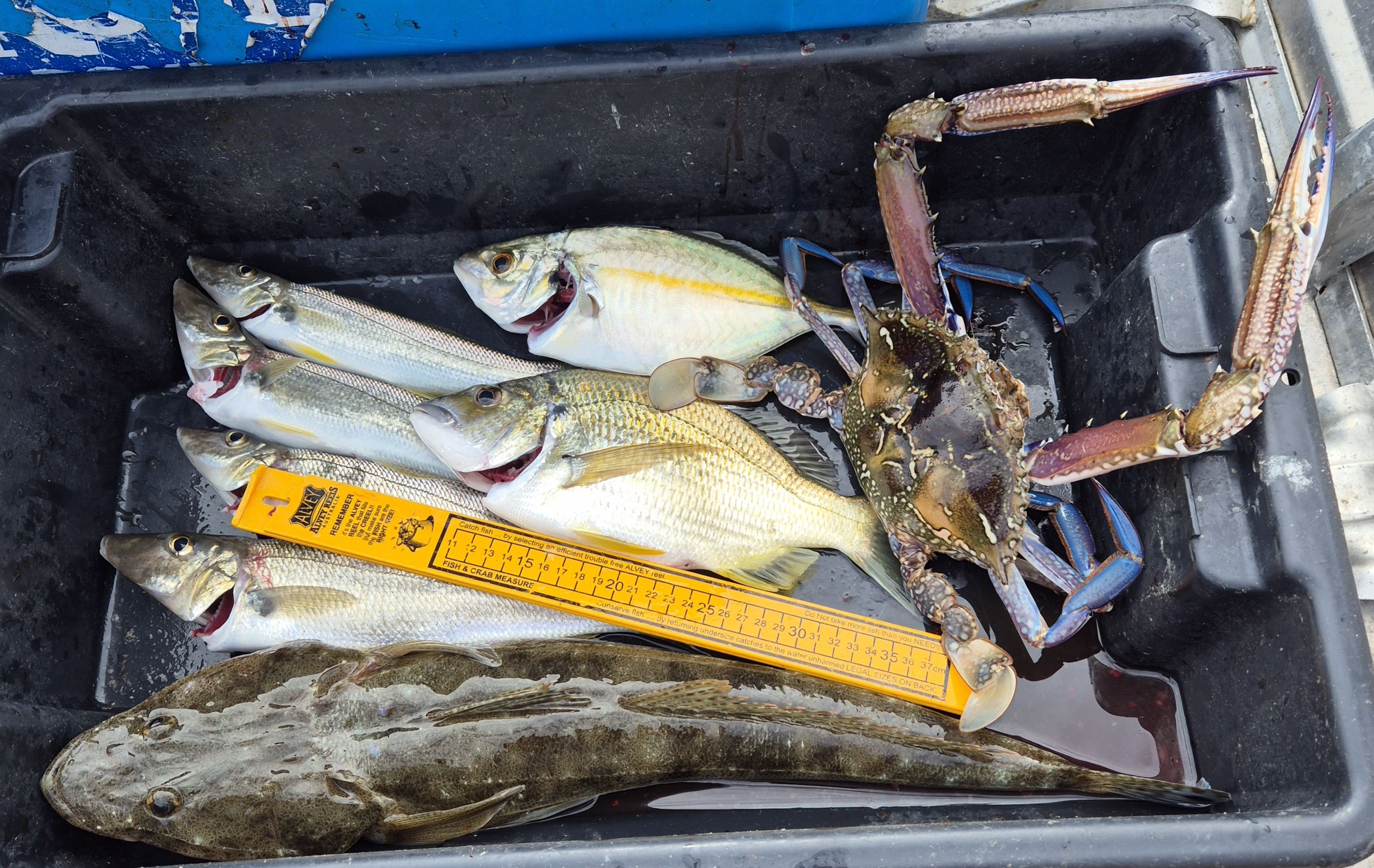 Port Hacking - Saltwater Fishing Reports - DECKEE Community