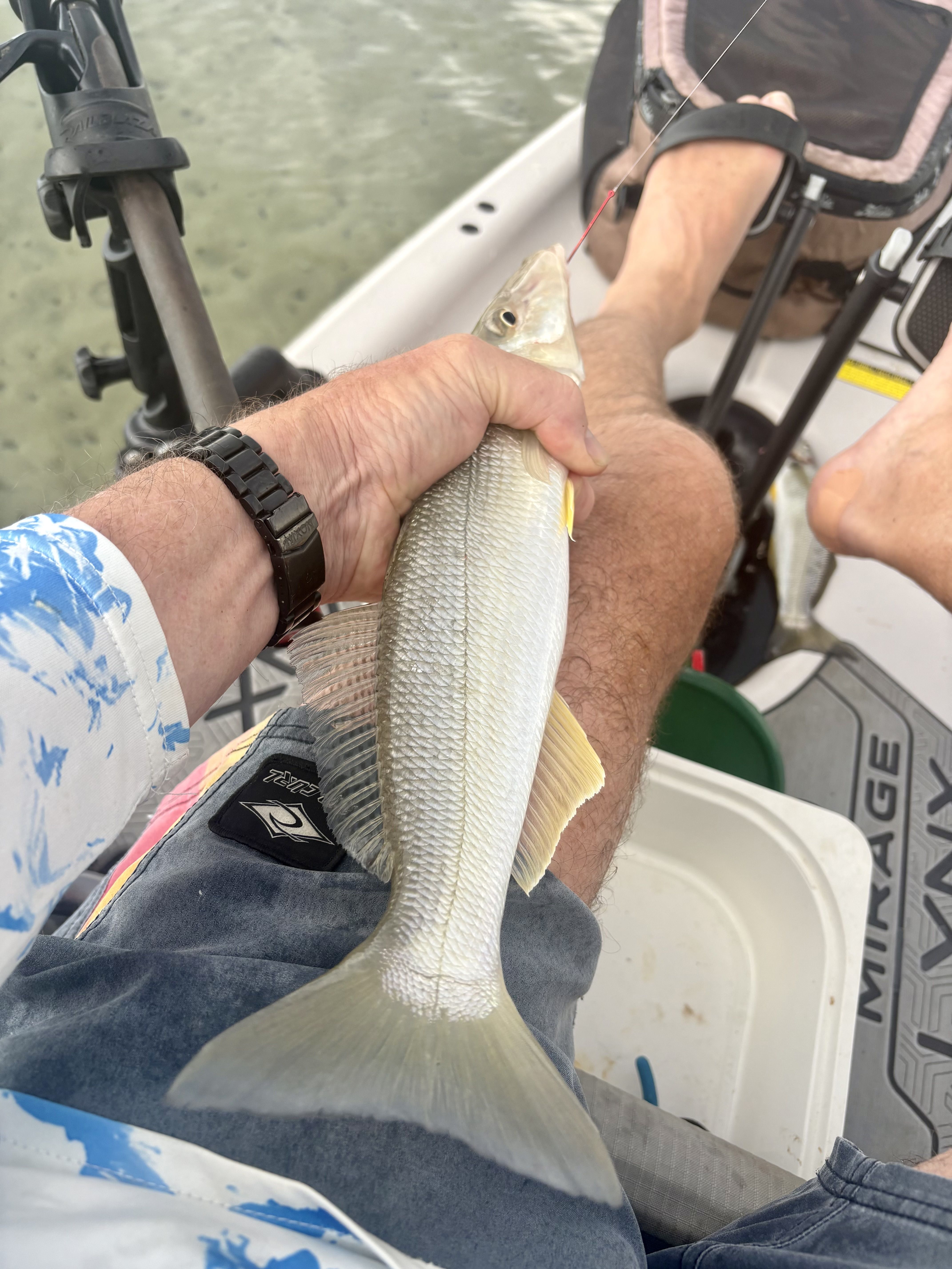 Quick Arvo Hacking Outing - Saltwater Fishing Reports - DECKEE Community