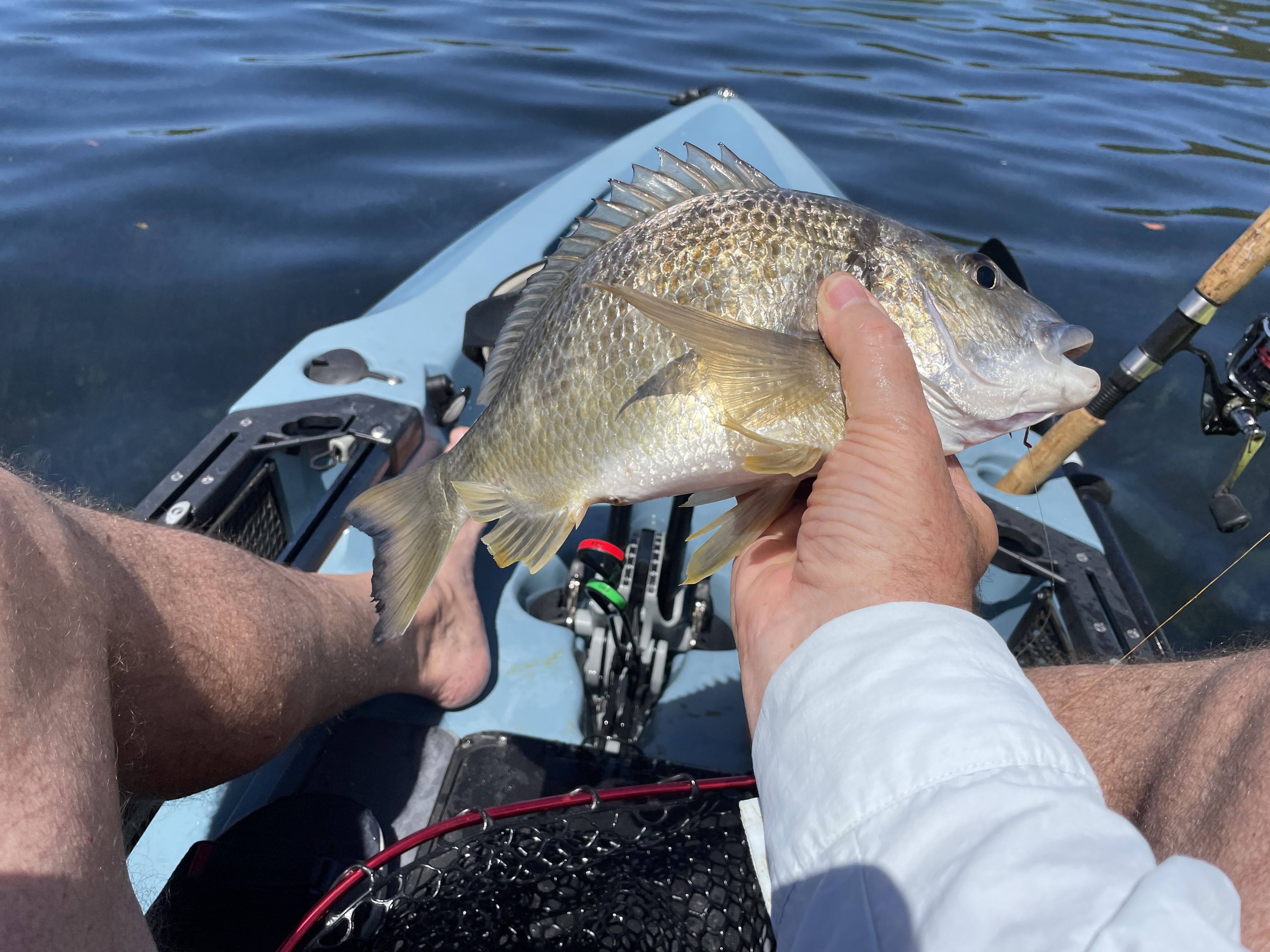 Yakking in the south - Saltwater Fishing Reports - DECKEE Community