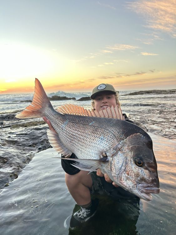 Early morning Snapper - Saltwater Fishing Reports - DECKEE Community