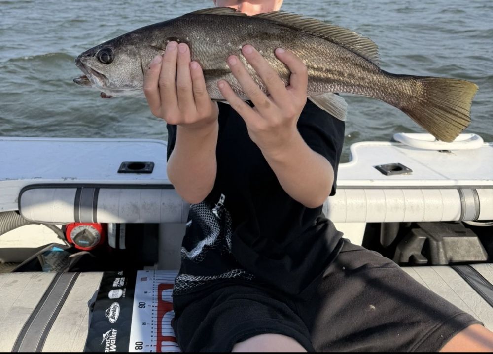Lightning strikes again! Georges River jewfish Saturday 31 January ...