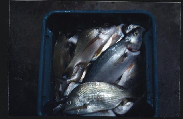 Botany Bay 16-5 - Fishing Reports - DECKEE Community