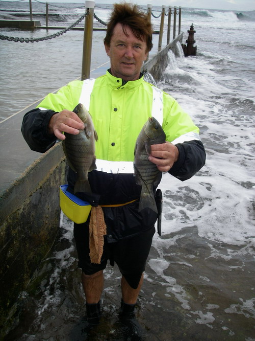 Roberta Hits Mona Vale - Fishing Reports - DECKEE Community