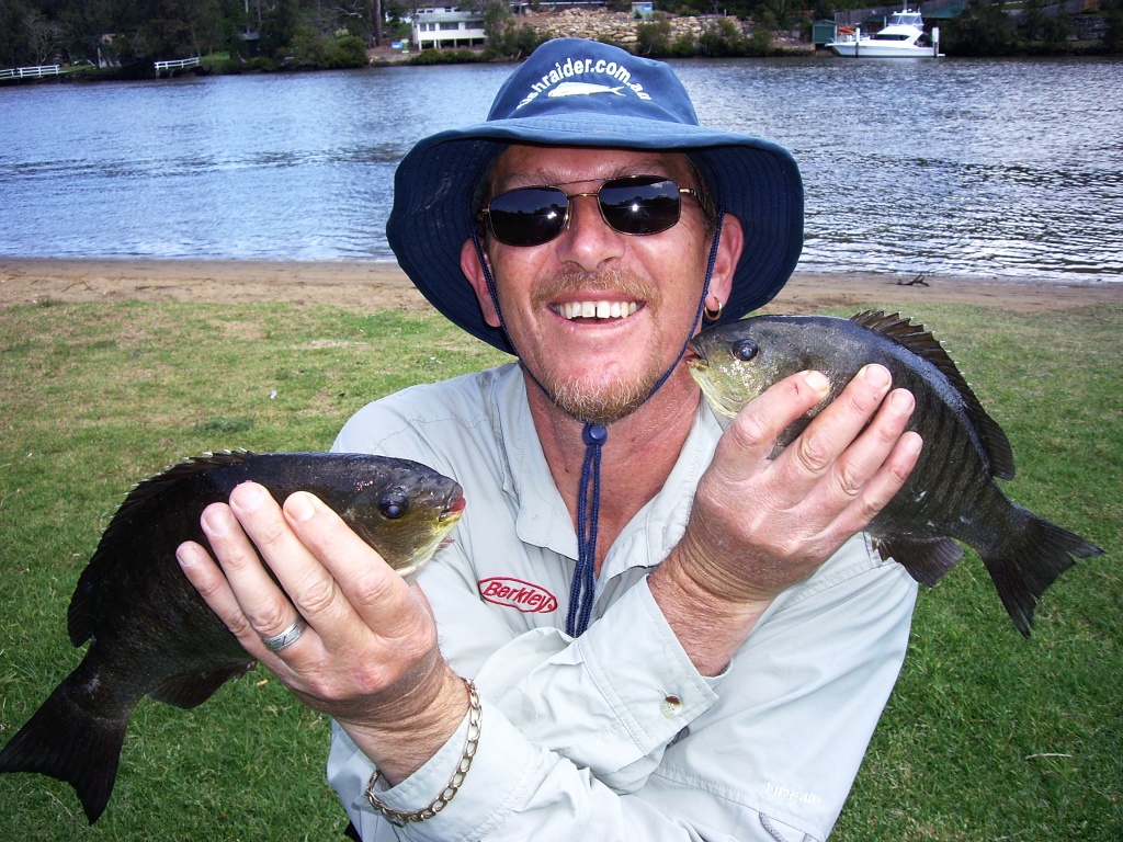 Georges River Blackfish - Fishing Reports - DECKEE Community