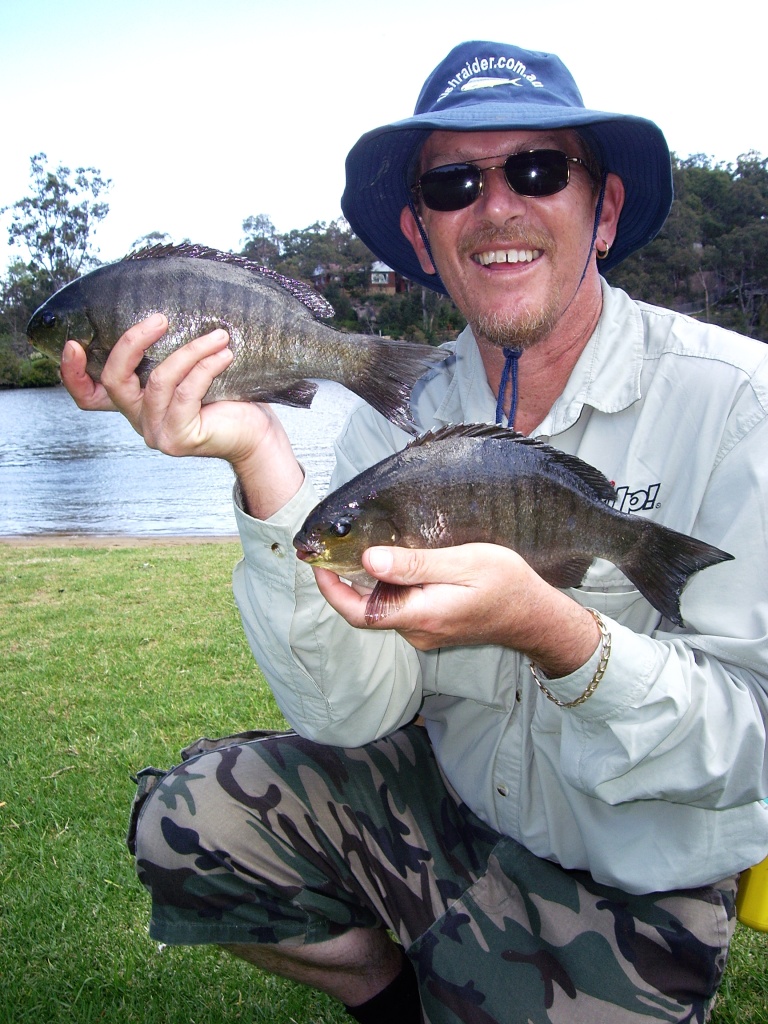 Georges River Blackfish - Fishing Reports - DECKEE Community