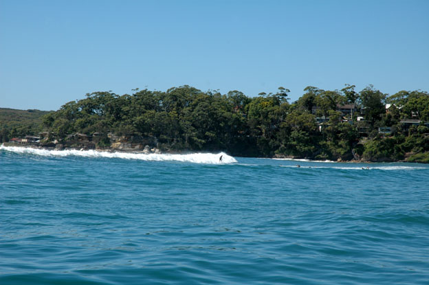 Cronulla - Fishing Reports - DECKEE Community