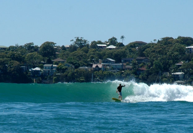 Cronulla - Fishing Reports - DECKEE Community