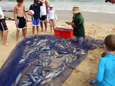 Cronulla - Fishing Reports - DECKEE Community