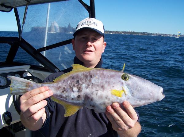 The Most Annoying And Greedy Fish In The World - Fishing Reports ...