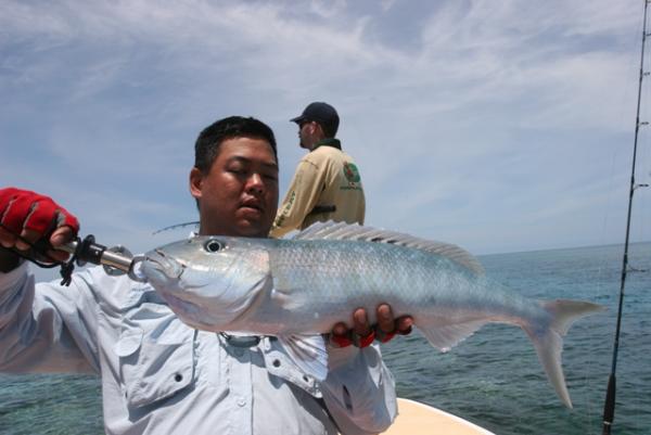 Jobfish (Green) - Lure Fishing Records - DECKEE Community