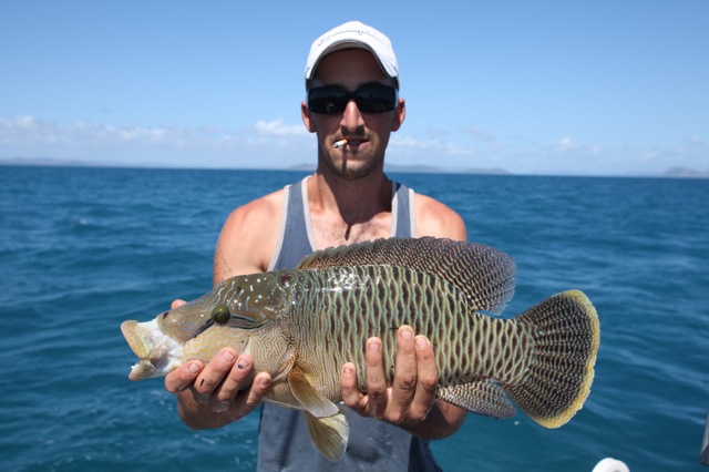 Cooktown - Plan a Fishing Trip - DECKEE Community