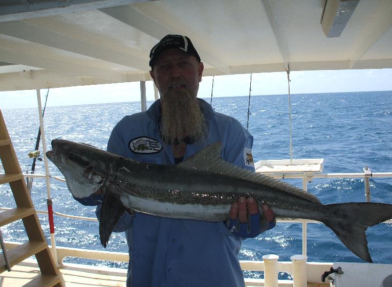 Swaines Reef - Fishing Reports - DECKEE Community
