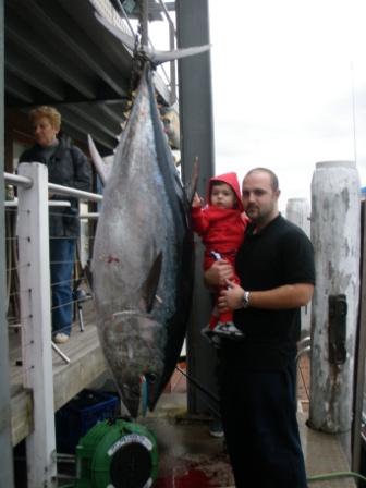 Southern Blue Fin Tuna - Gamefishing Reports - DECKEE Community